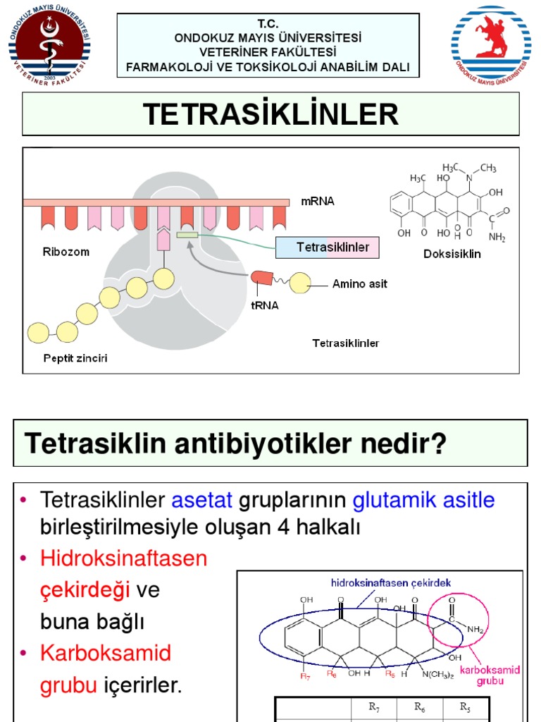 07 Tetrasiklinler PDF | PDF