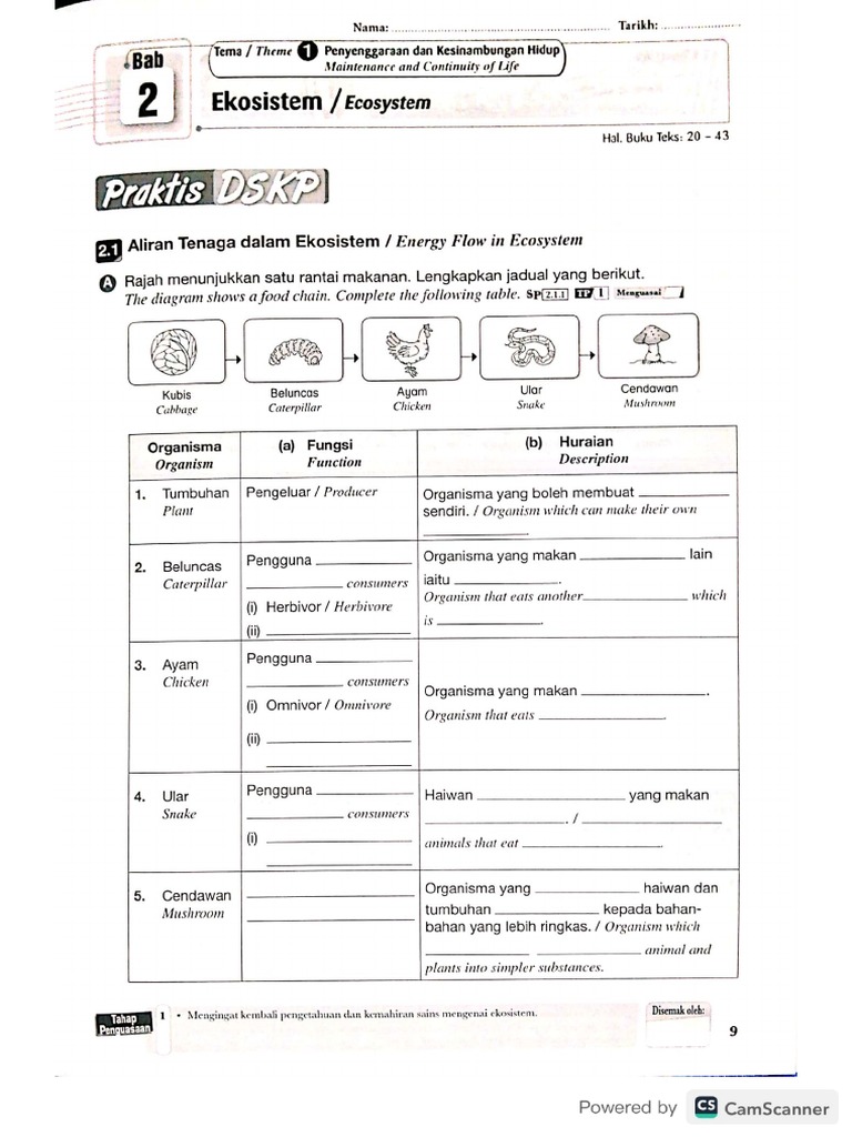 Qualifier Form 2 Science Chap 2 PDF | PDF