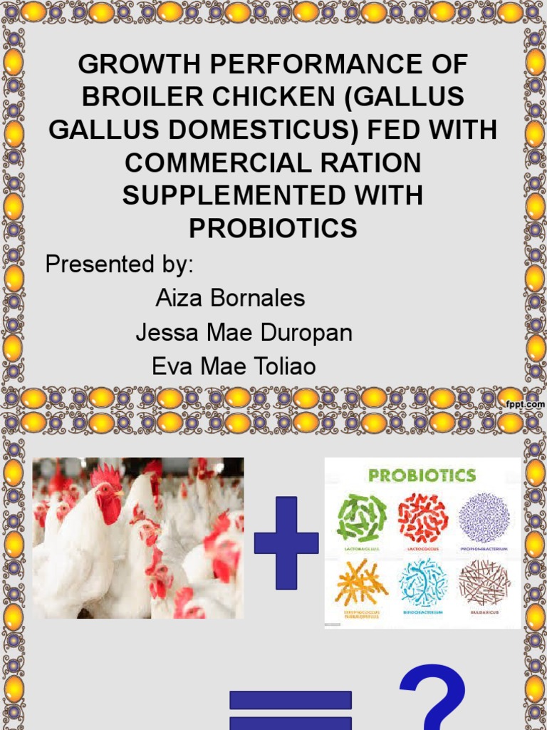 Growth Performance of Broiler Chicken (Gallus Gallus | PDF | Wellness