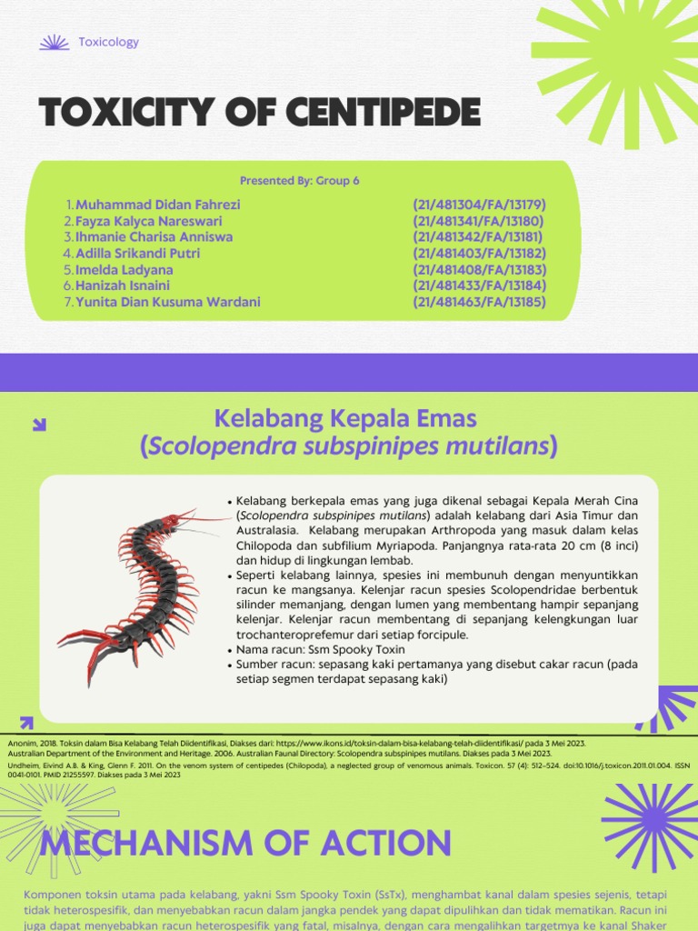 C6 - Hewan (Centipede) | PDF