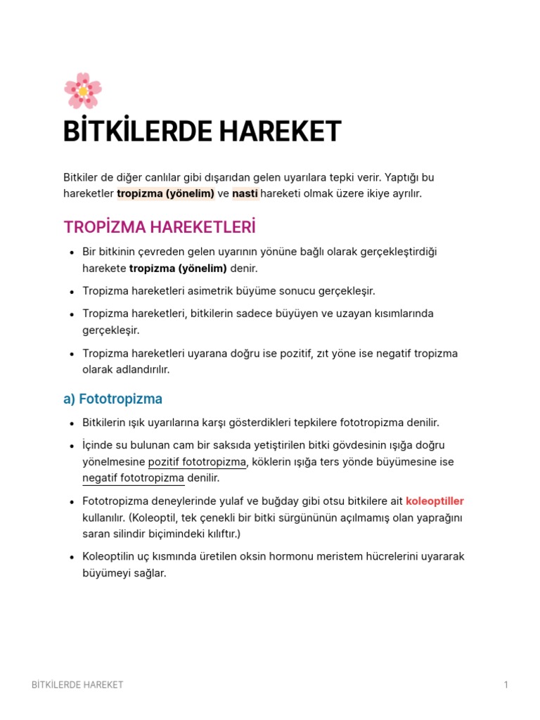 Sinif Biyoloji - Bitkilerde Hareket PDF | PDF