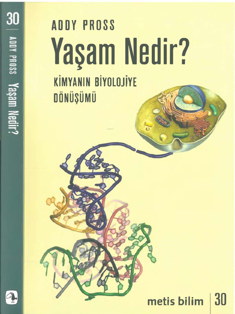 Addy Pross - Yaşam Nedir - Biyolojinin Kimyaya Dönüşümü | PDF