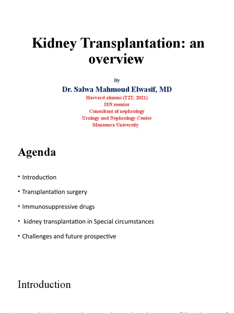 DR - Salwa Elwasif | PDF