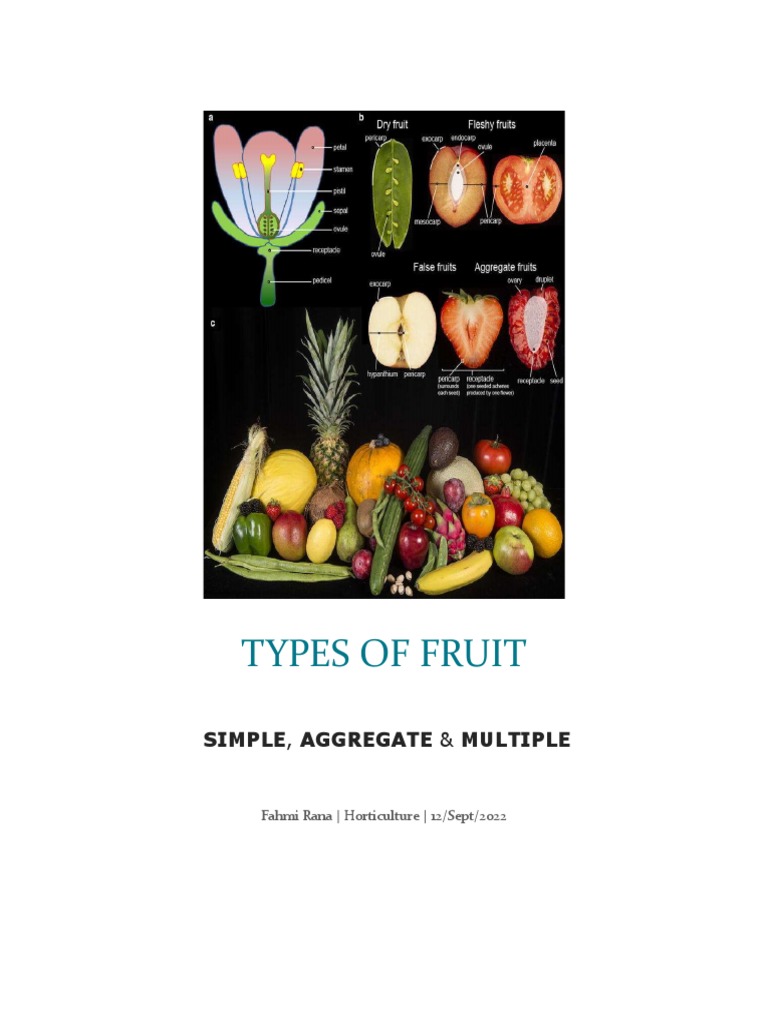 Horticulture Assignment | PDF | Fruit | Horticulture