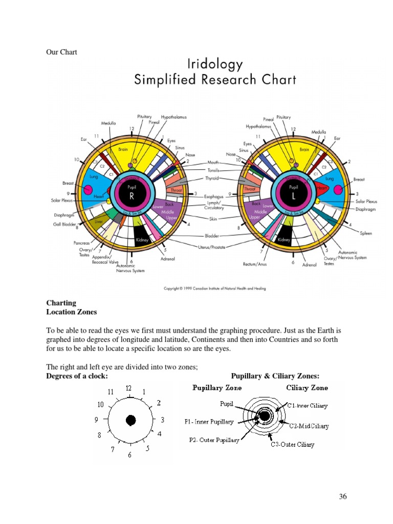 Iridology Chart | PDF