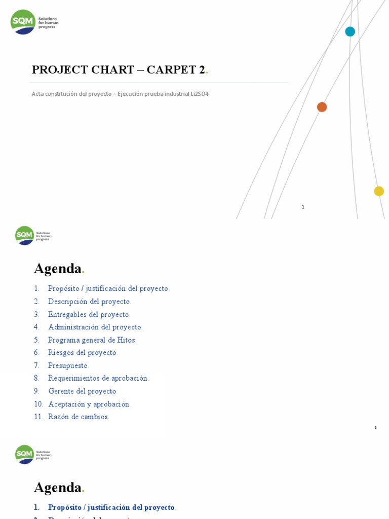 Acta Constitución de Proyecto - V2 | PDF | Presupuesto | Planificación estratégica