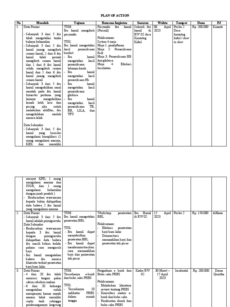 Plan of Action | PDF