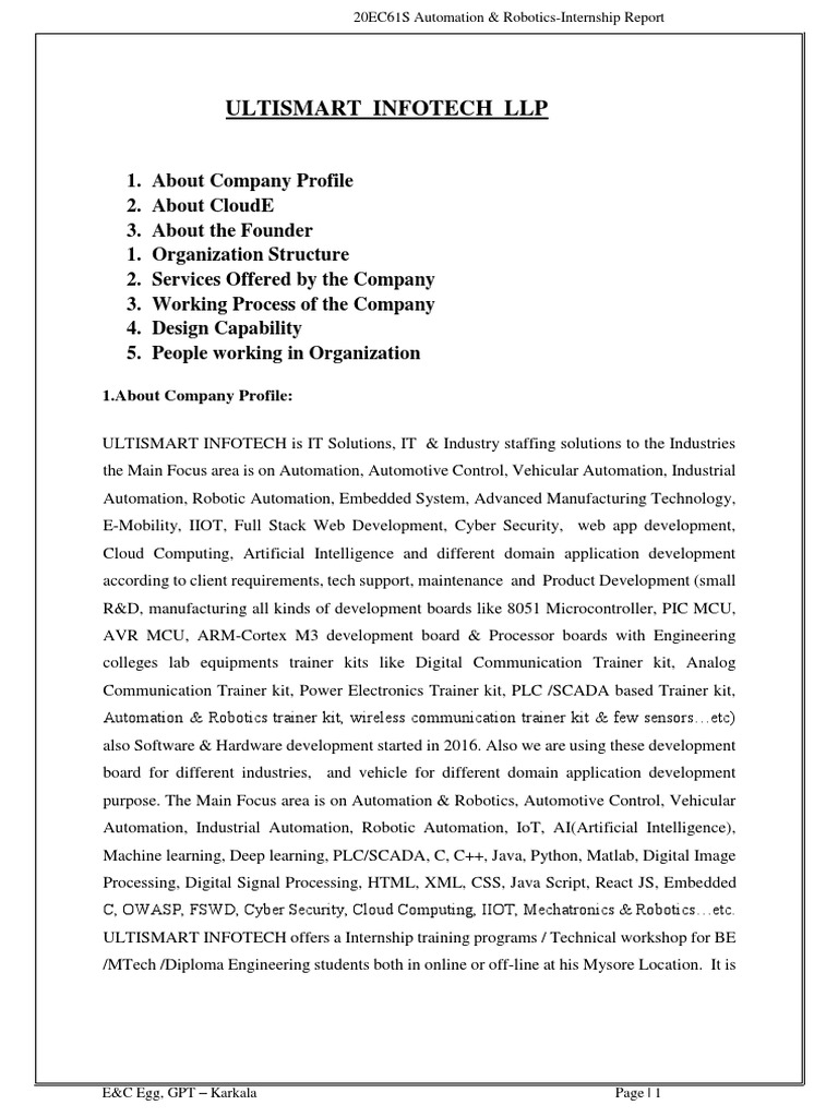 Indo MIm Company Report (F BNJ | PDF