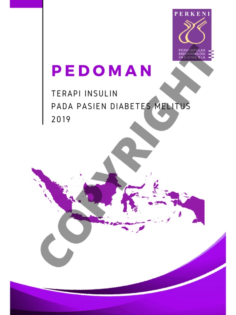 Pedoman Terapi Insulin Pada Pasien Diabetes Melitus 2019 Ebook Pdf Pdf