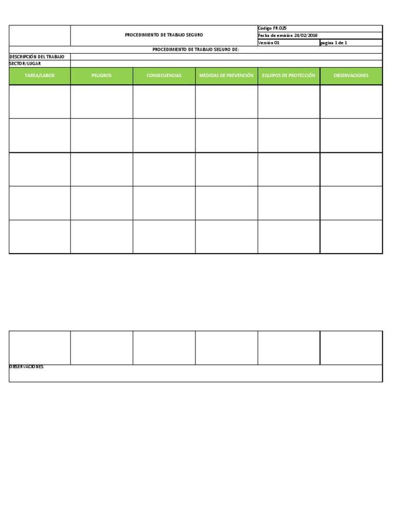 FR.25 Formato de PTS | PDF