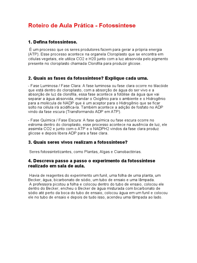 Roteiro de Aula Prática | PDF