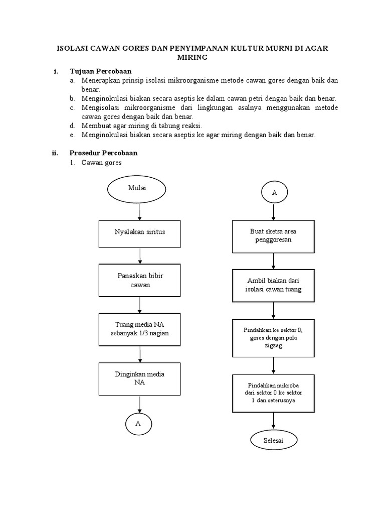 Isolasi Cawan Gores Dan Penyimpanan Kultur Murni Di Agar Miring | PDF