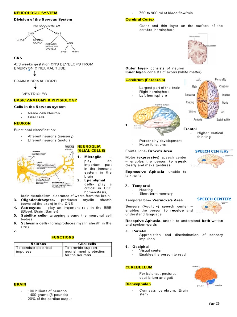 Neurologic-system | PDF