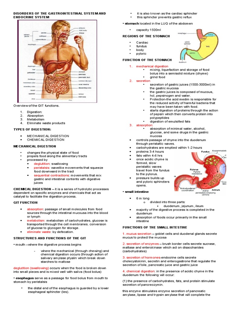 Disorders Of The Gastrointestinal System And Endocrine System Pdf