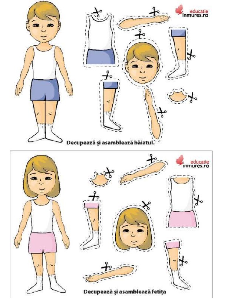 Fisa de Lucru Corpul Meu | PDF