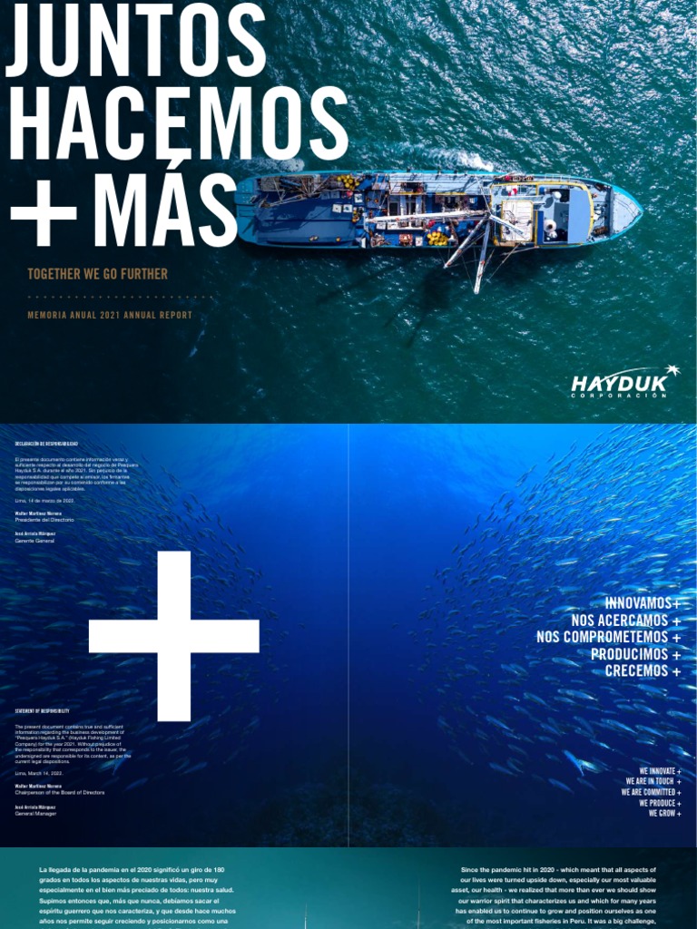 Memoria Anual Hayduk 2021 Web | Descargar gratis PDF | Negocios ...