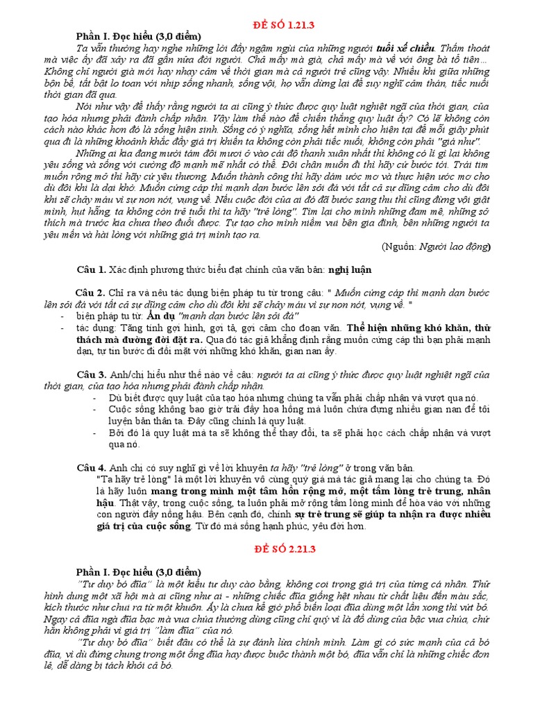 ĐỀ SỐ 1 2 21 3 | PDF