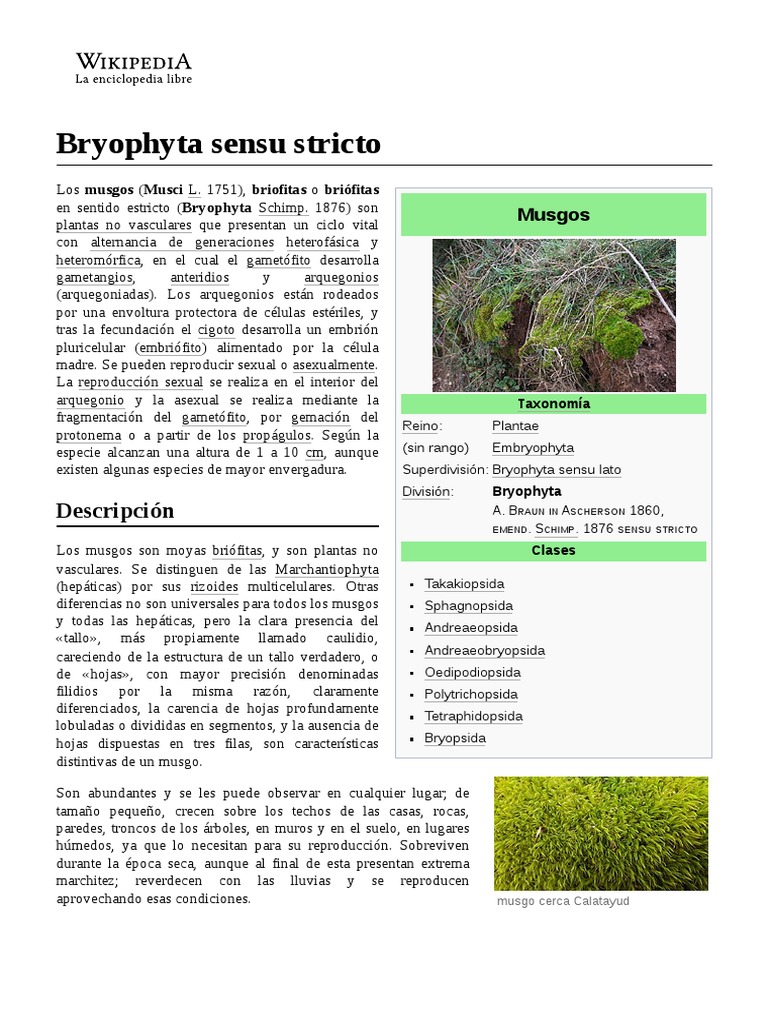 Bryophyta_sensu_stricto | PDF