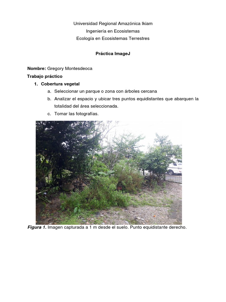 Práctica Imagej | PDF