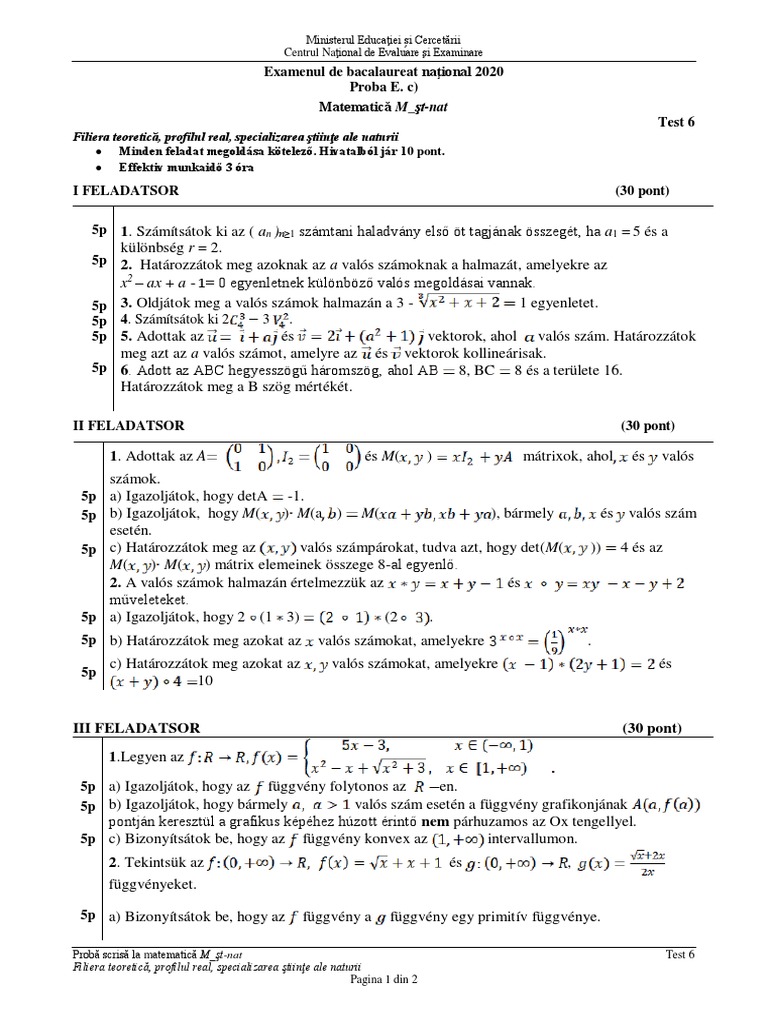 Bac 2020 E C Matematica M St-Nat Var.6 LB - Maghiara | PDF