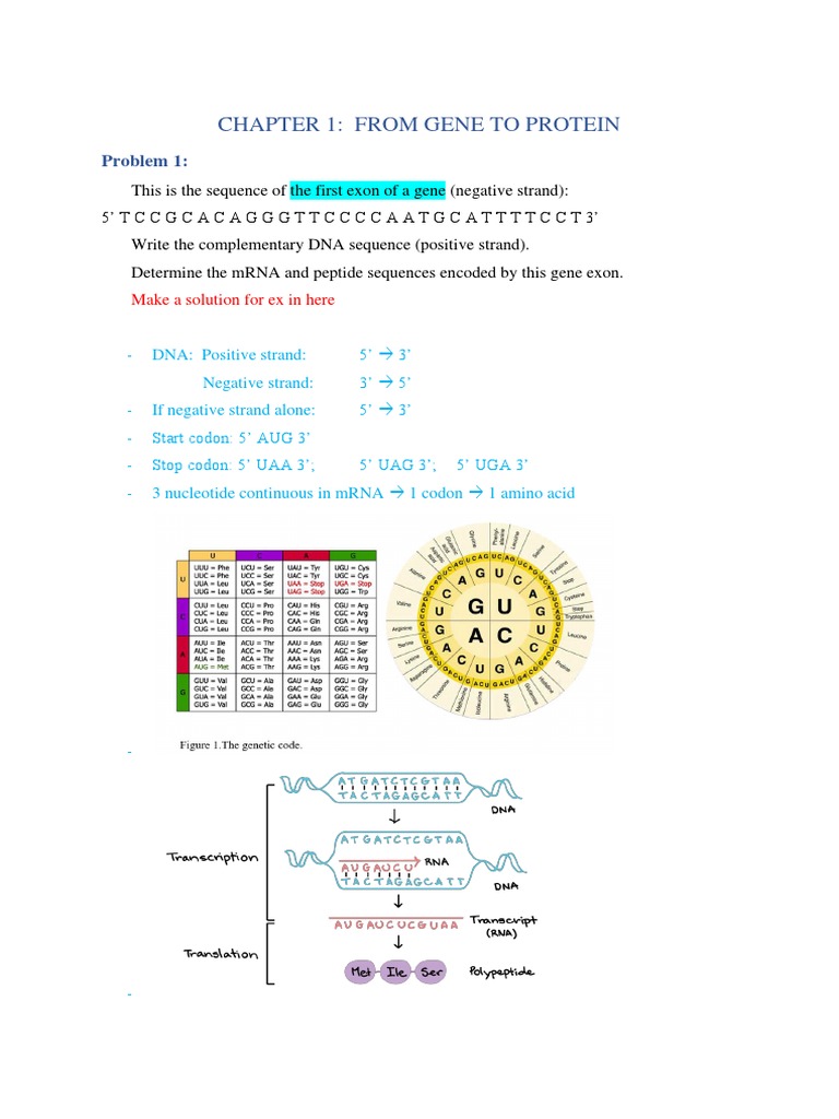 Tutorial Solution Chapter 1+2+3 | PDF | Teaching Methods & Materials ...
