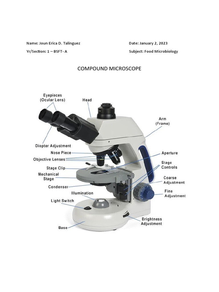 Microscope | PDF