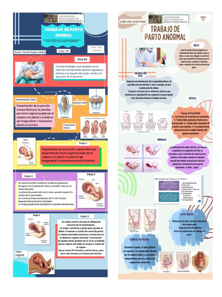 Infografias De Daniel 407 Pdf