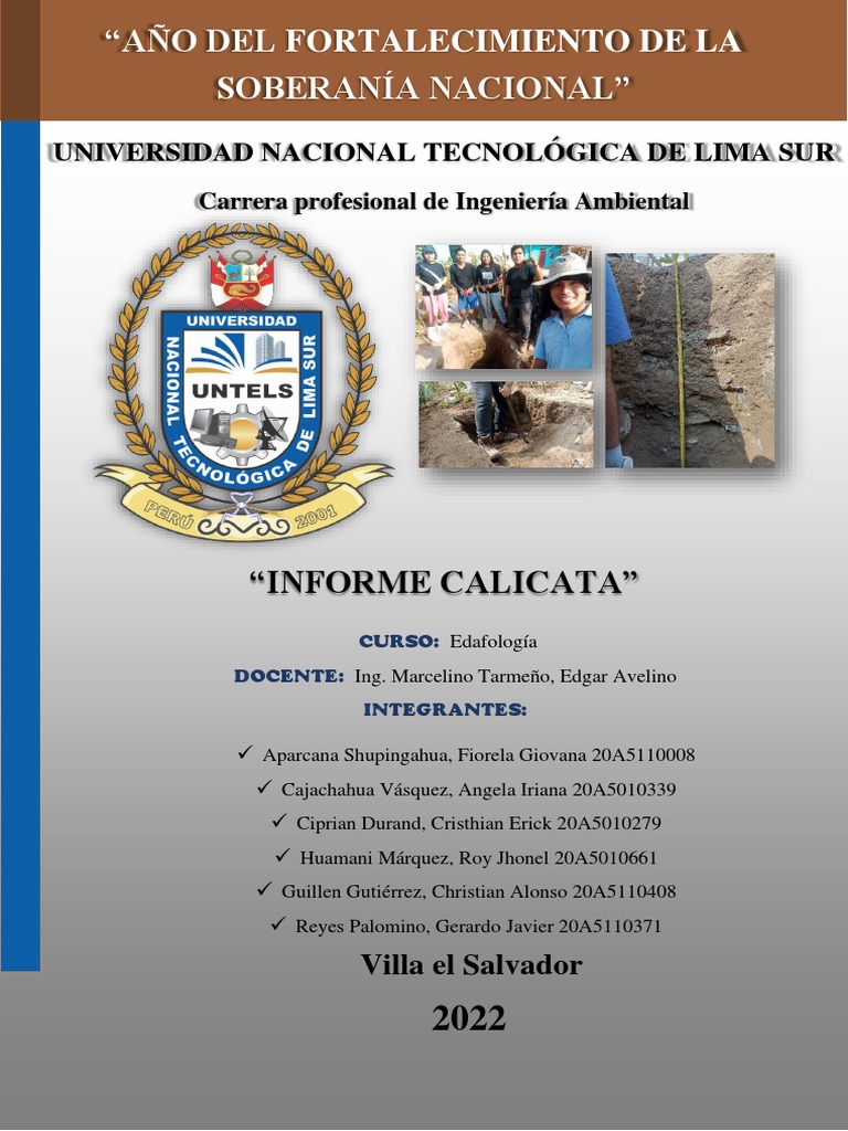 Dimensiones y Horizontes de Calicata | PDF | Suelo | Roca (geología)