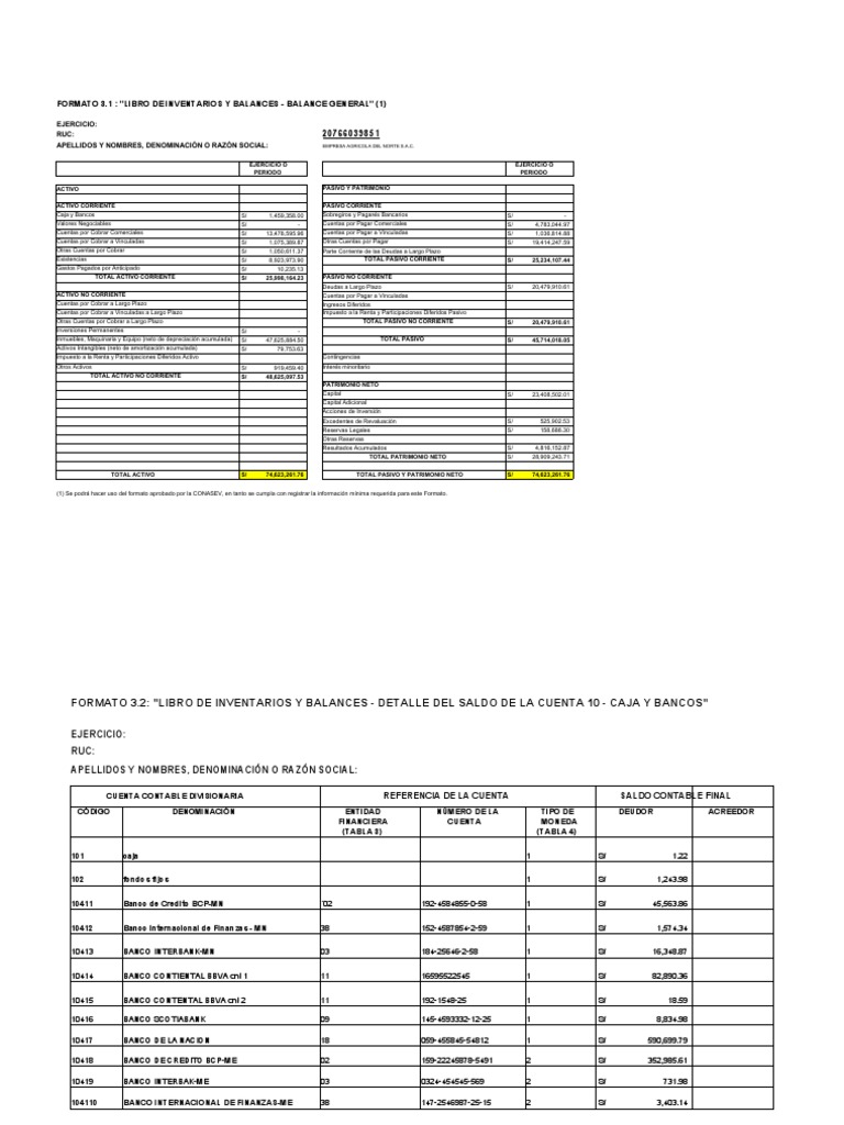 Formato3.1 Libro de Inventarios y Balances - Sunat | PDF | Negocios ...