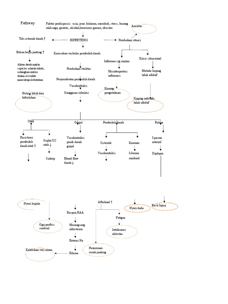 Pathway Patofisiologi Hipertensi | PDF