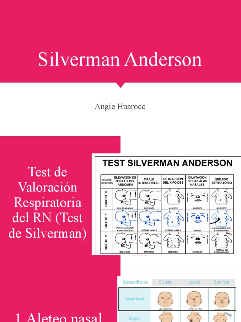 Silverman Anderson | PDF