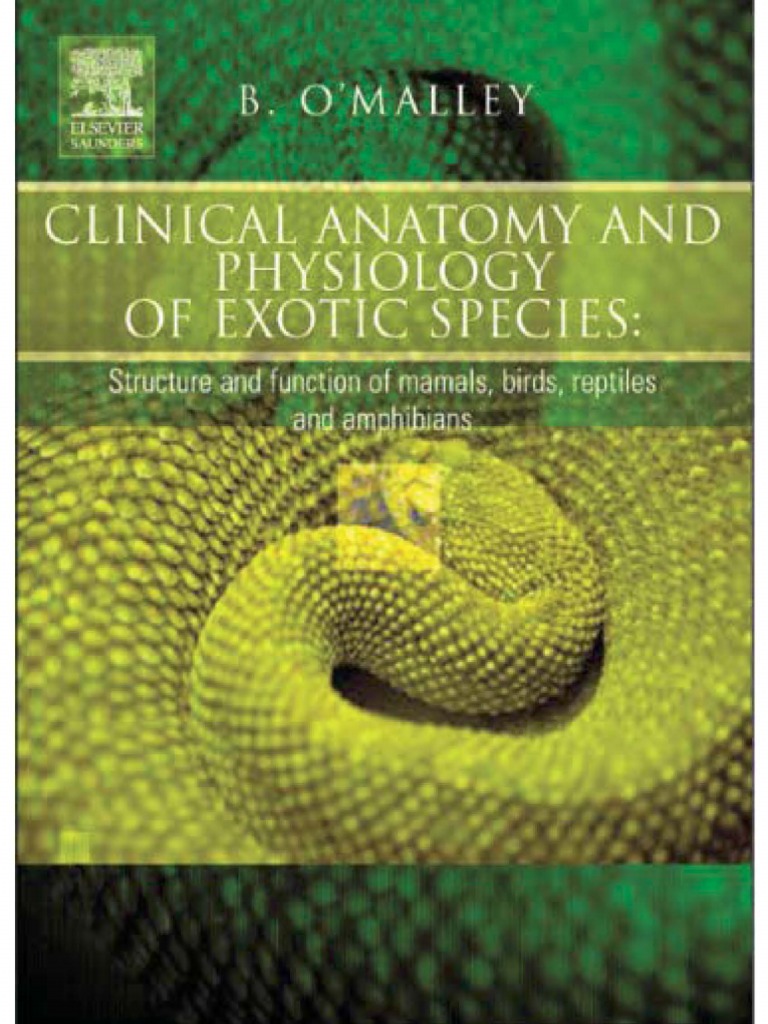 1 O'Malley - Clinical Anatomy and Physiology of Exotic Species PDF ...