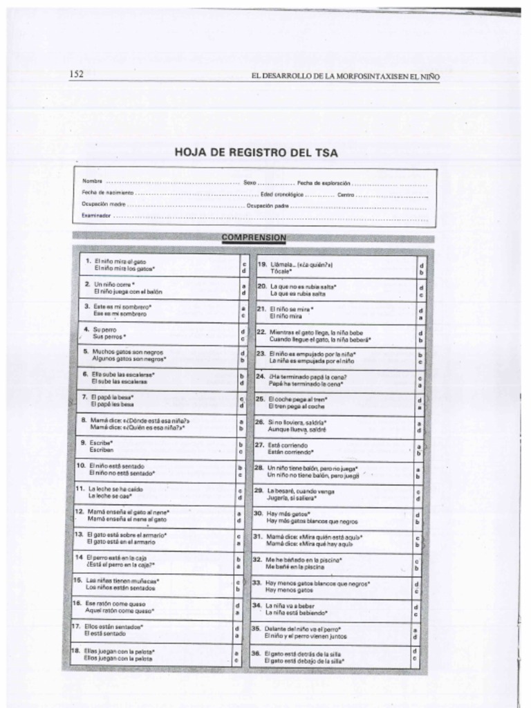 Hoja de Registro Tsa PDF | PDF