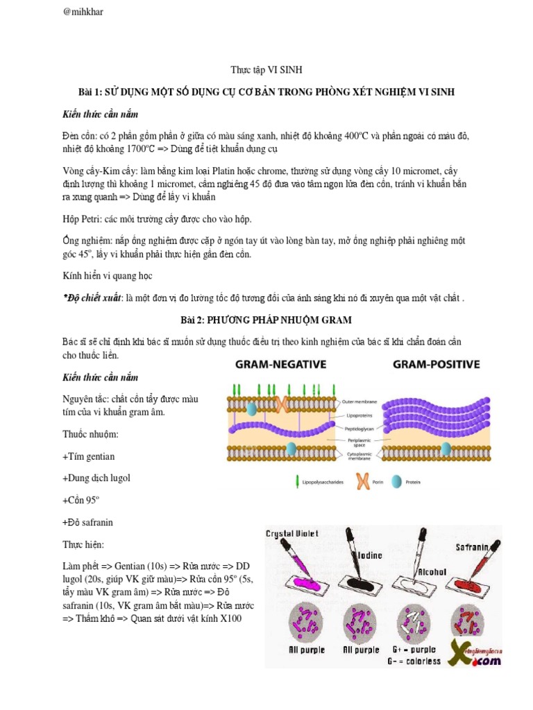 THỰC TẬP VI SINH OFFICIAL PDF | PDF