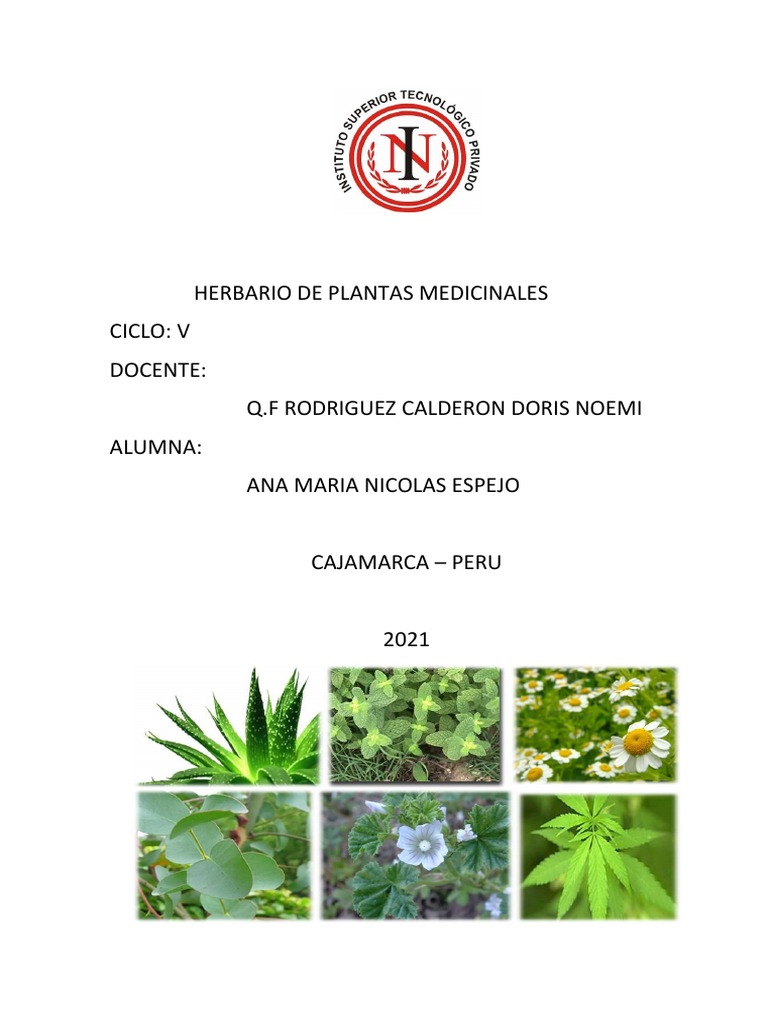 Herbario de Plantas Medicinales | PDF