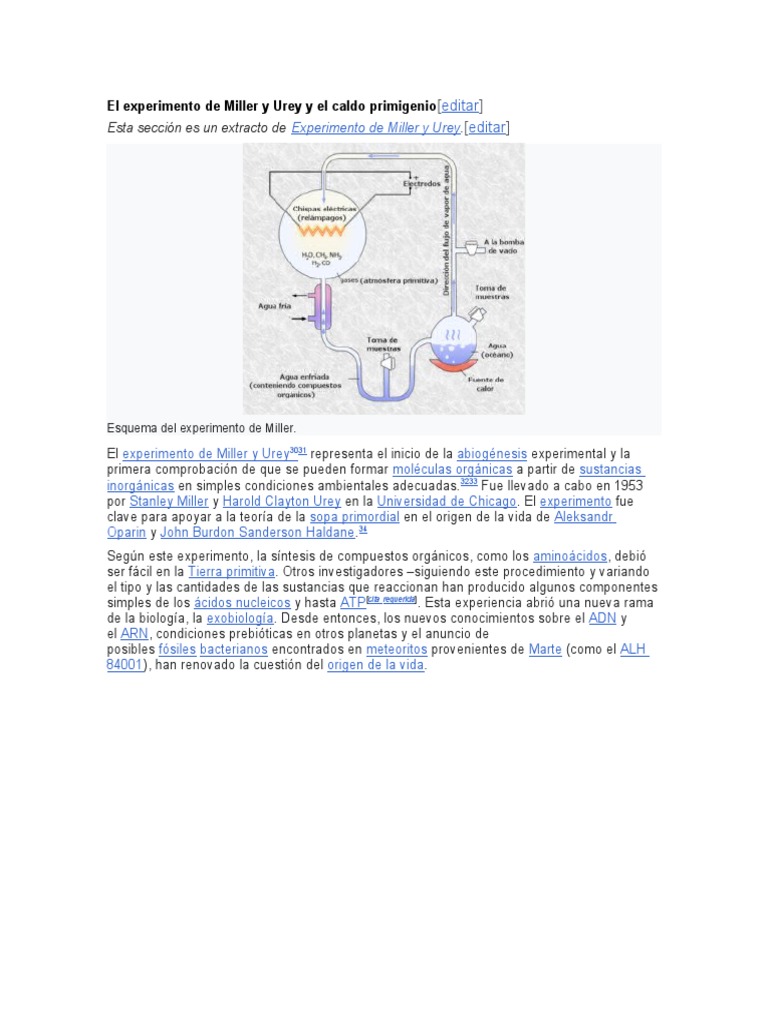 El Experimento de Miller y Urey y El Caldo Primigenio | PDF