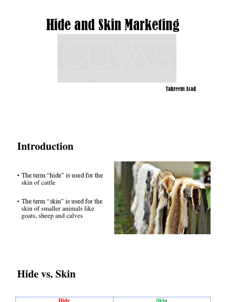 Hide and Skin PDF | PDF