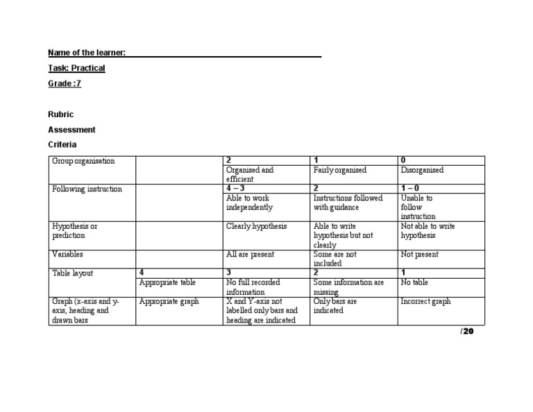 Grade 7 Natural Science Project Rubric | PDF