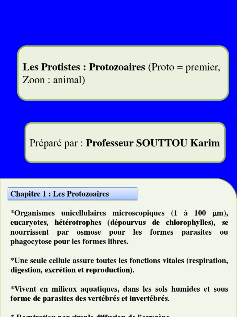 Classification et caractéristiques des protozoaires | PDF | Sciences et ...