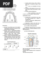 Jaw Suspensorium | PDF | Jaw | Skull