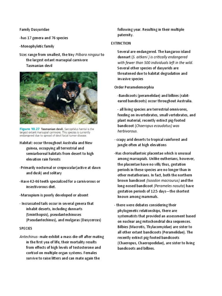 An In-Depth Exploration of the Taxonomy, Morphology, Ecology and ...