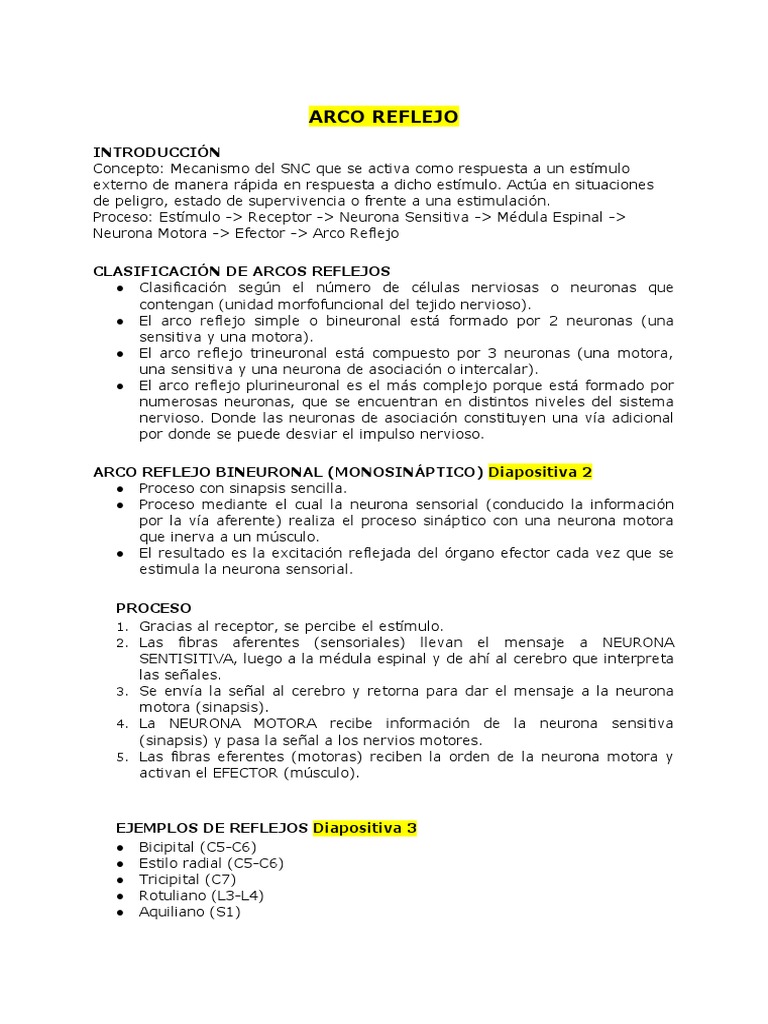 Arcos reflejos: clasificación y ejemplos | PDF