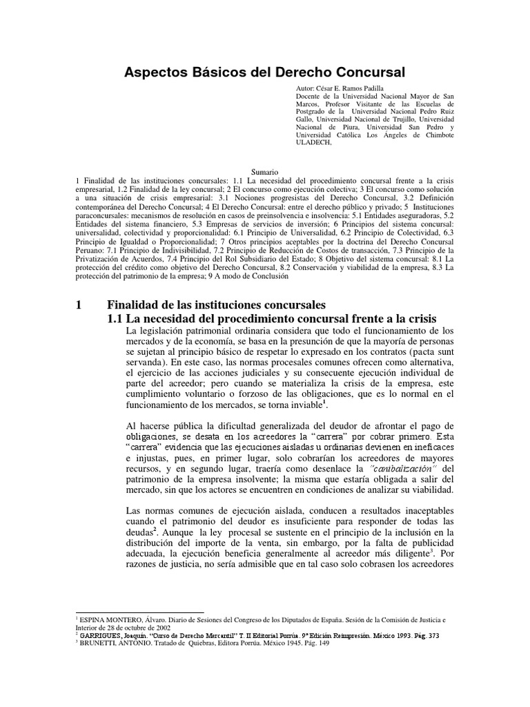Aspectos Basicos Del Derecho Concursal RAMOS RESUMIDO PDF | PDF