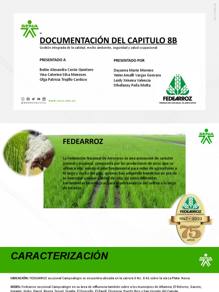 Diapositivas 8B | PDF