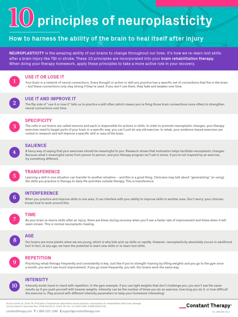 10 Principles of Neuroplasticity | PDF
