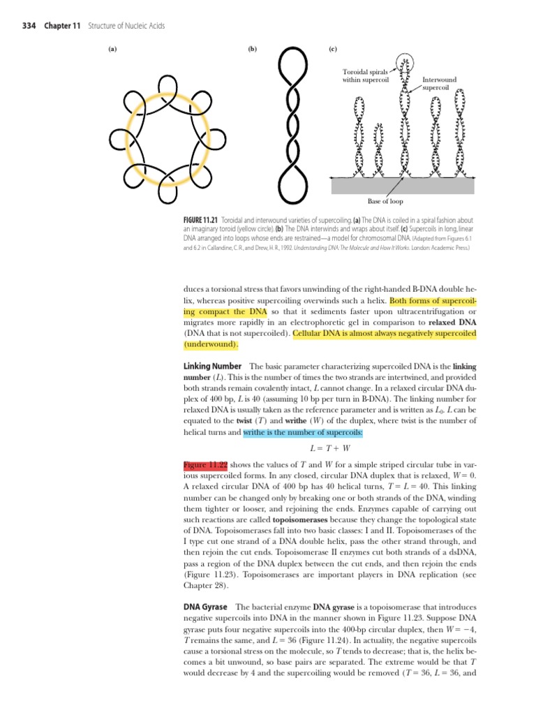 Biochemistry, Fifth Edition, Reginald H. Garrett-369-371 PDF | PDF