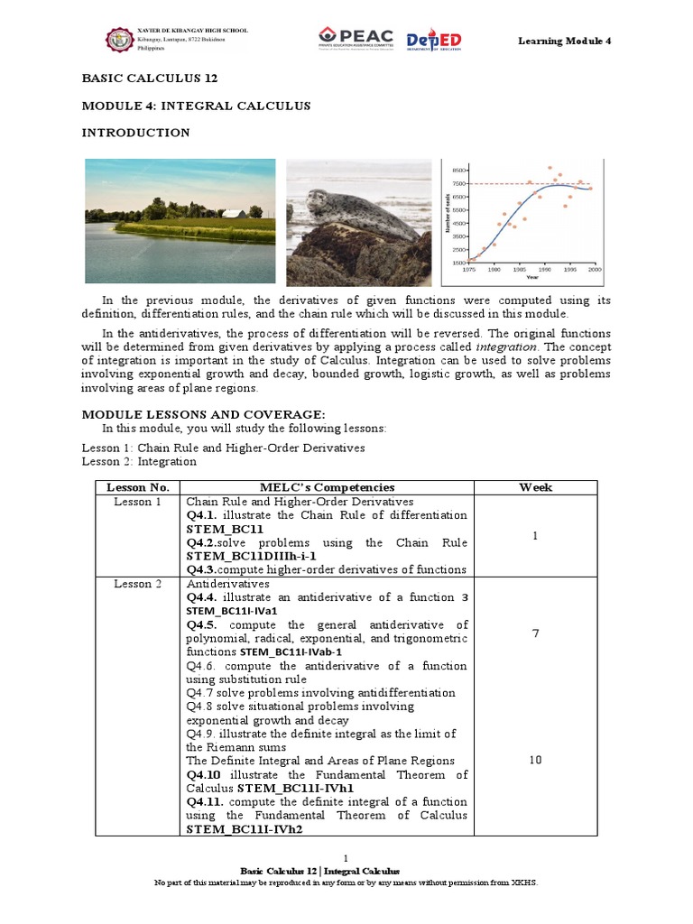 Grade 11 Integral Calculus Module | PDF | Teaching Methods & Materials ...