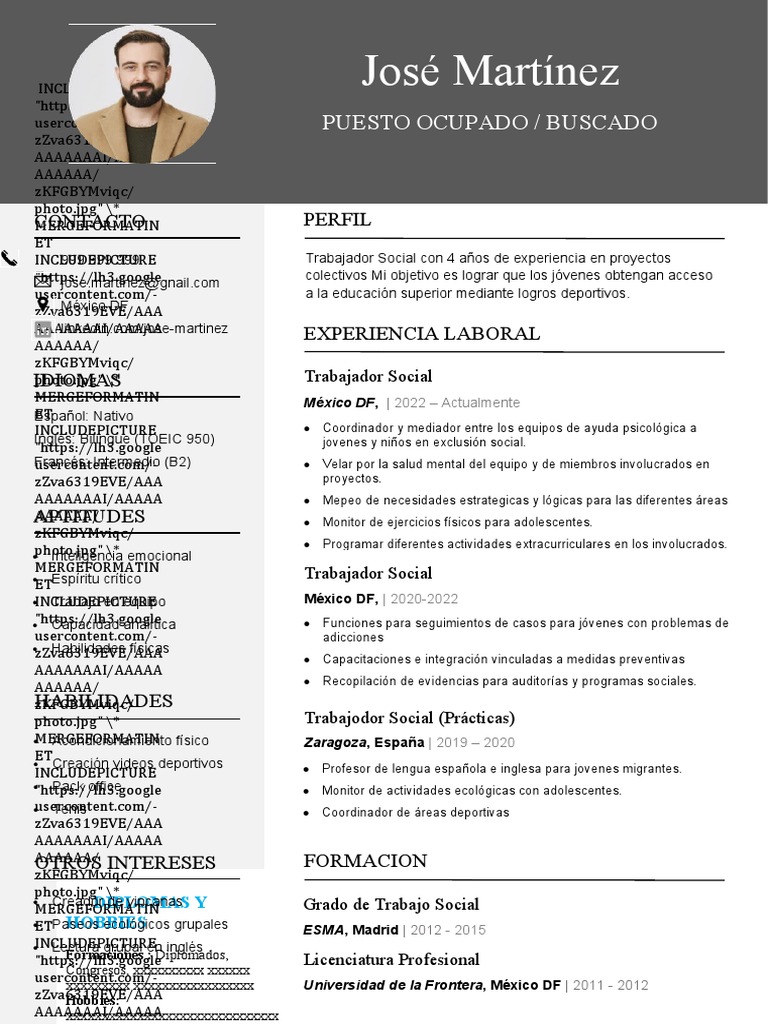 233 Curriculum Vitae Profesional para Trabajo 97 2003 | PDF | Trabajo Social