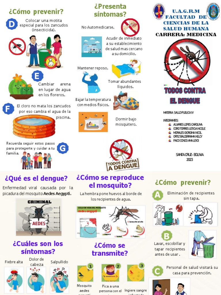 Triptico-Dengue Nelcy PDF | PDF