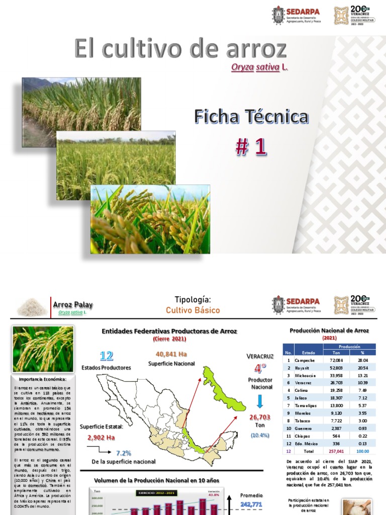 Ficha Técnica de Arroz PDF | PDF